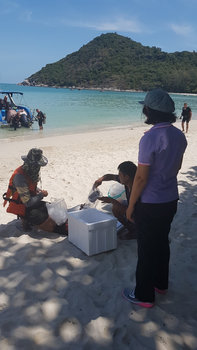 Thai Gulf Sea Water, River Water & Air Quality - มูลนิธินิเวศวิถี ...